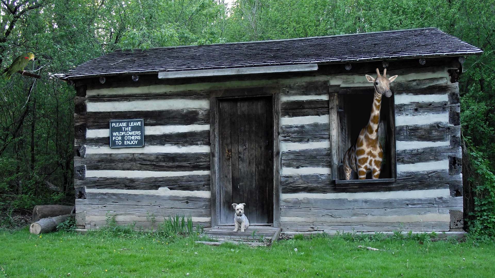 Sticky's Web Page - free desktop wallpaper